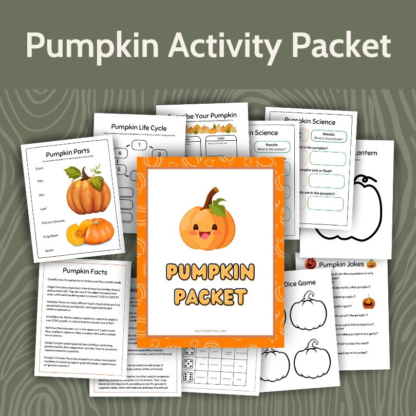 Pumpkin Activity Packet Printable - Outside Five